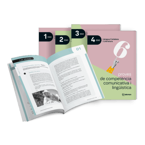 Proyecto educativo para lengua catalana ESO: Punt Volat