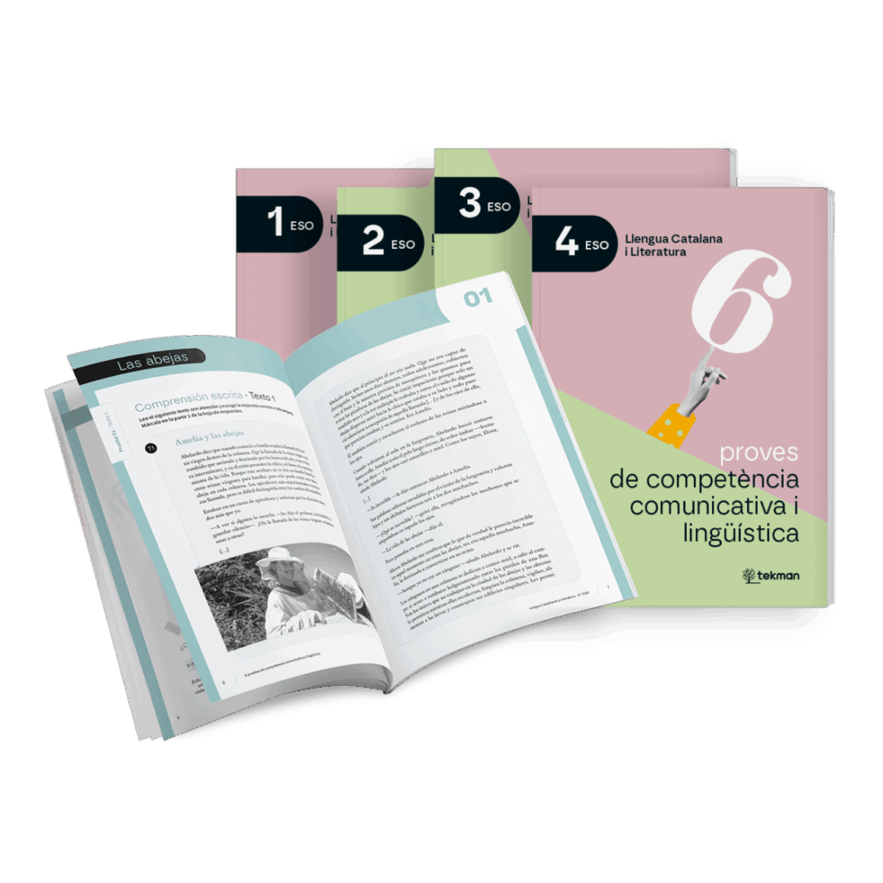 Proyecto educativo para lengua catalana ESO: Punt Volat